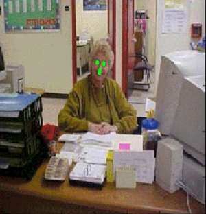 Caltech 10k Web Faces人脸数据集-大白智能