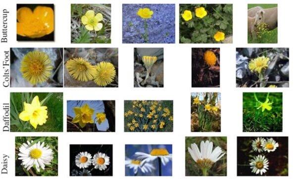 17 Category Flower数据集-大白智能